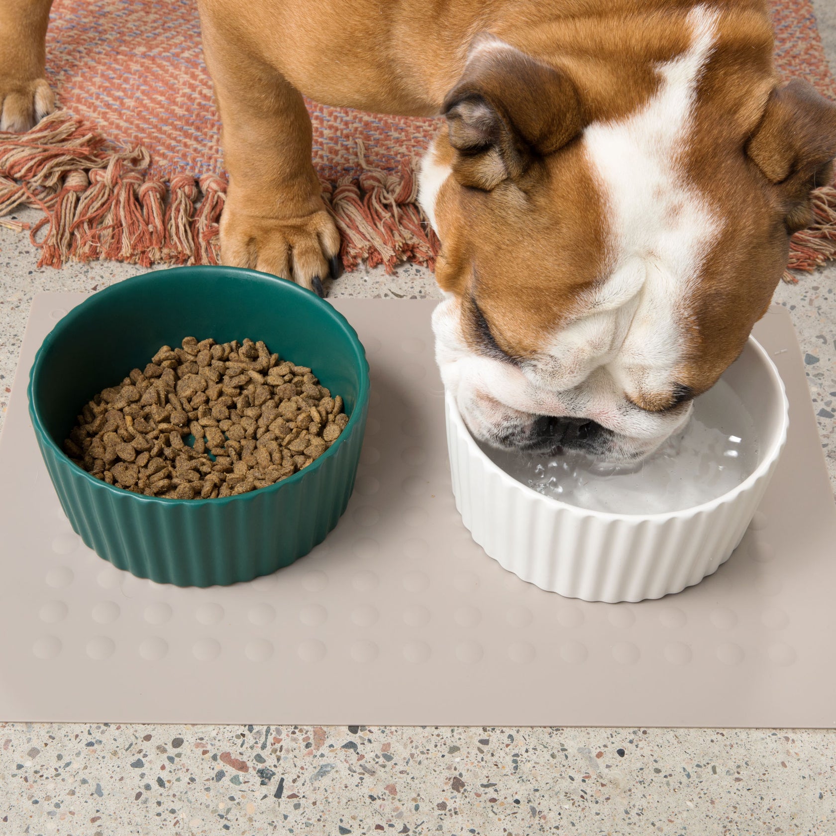 Waggo Dog Placemat Durable Silicone Dog Food Mat