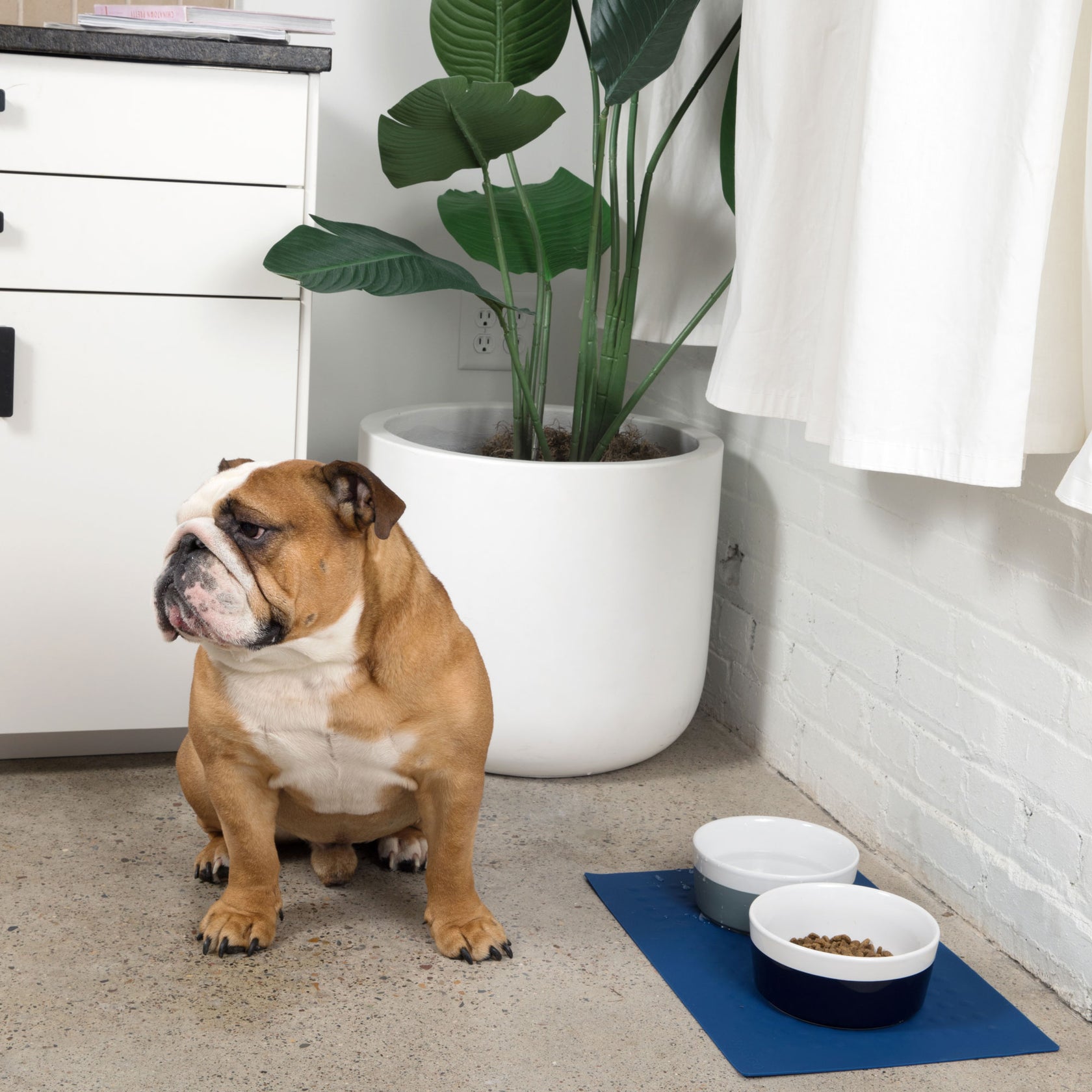Waggo Dog Placemat Durable Silicone Dog Food Mat